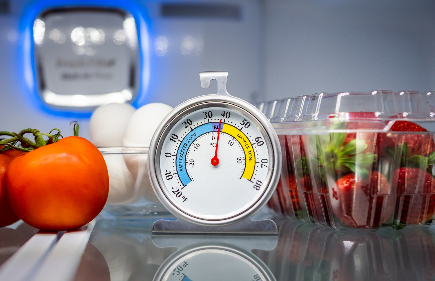 What Temperature Should A Refrigerator Be Set To AppliancePartsPros Blog